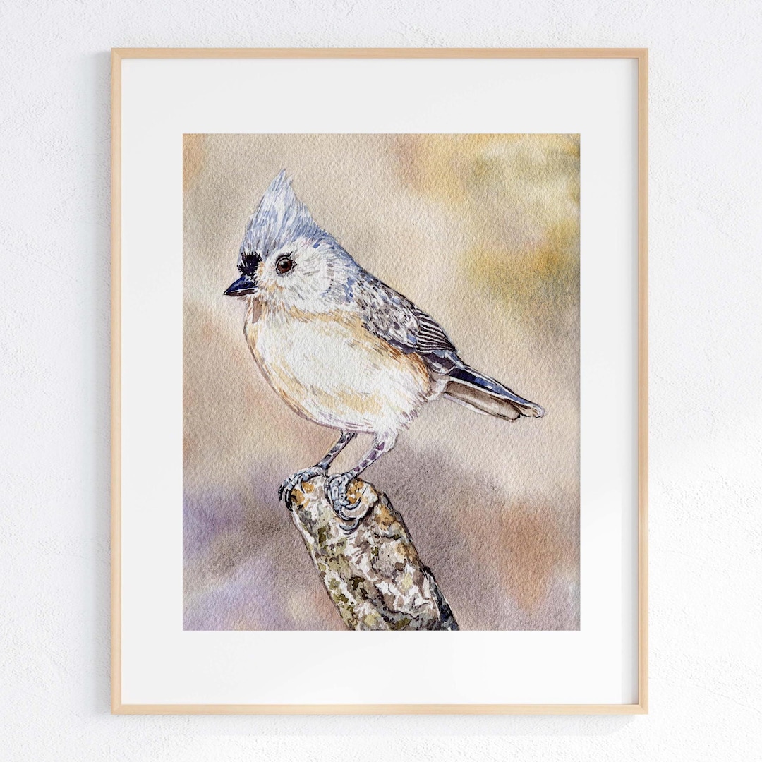 Tufted Titmouse Art Print, Tufted Titmouse Watercolor, Tufted Titmouse ...