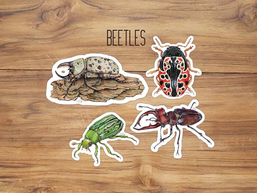 Beetles Sticker Pack, Eastern Hercules Beetle, Calligrapha Beetle ...