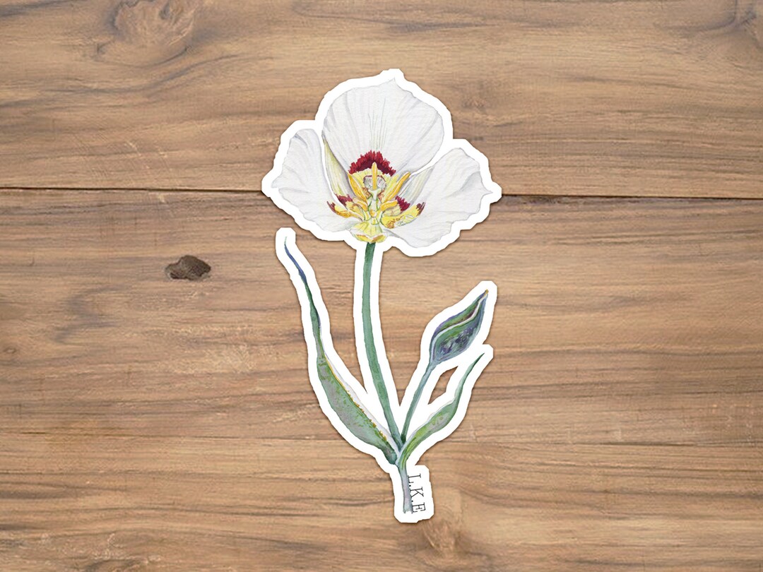Sego Lily Sticker, Sego Lily Illustration, Utah Sego Lily, Utah State ...