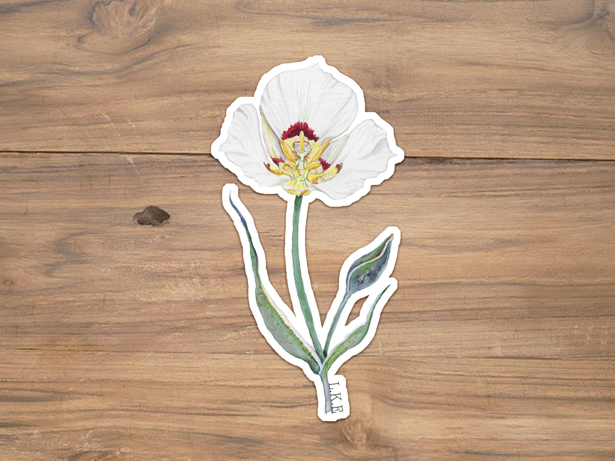 Utah art Sego lily sticker Utah sticker flower sticker state outline ...