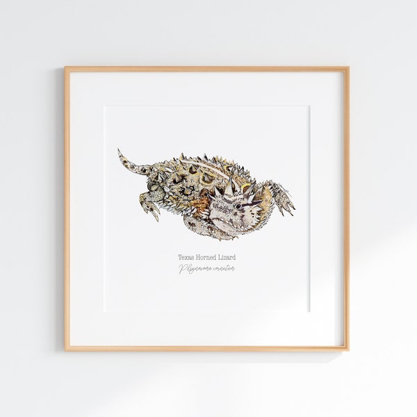 Horned Toad - Etsy