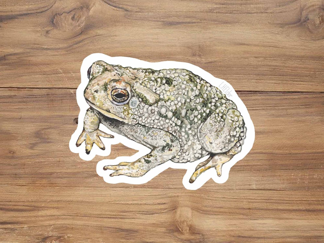 Texas Toad Sticker, Texas Sage Sticker, Toad Sticker, Frog Sticker ...