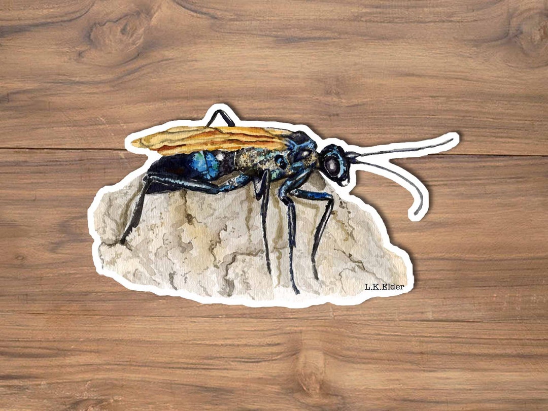 Tarantula Hawk Wasp Sticker, Wasp Sticker, New Mexico Sticker, Insect ...