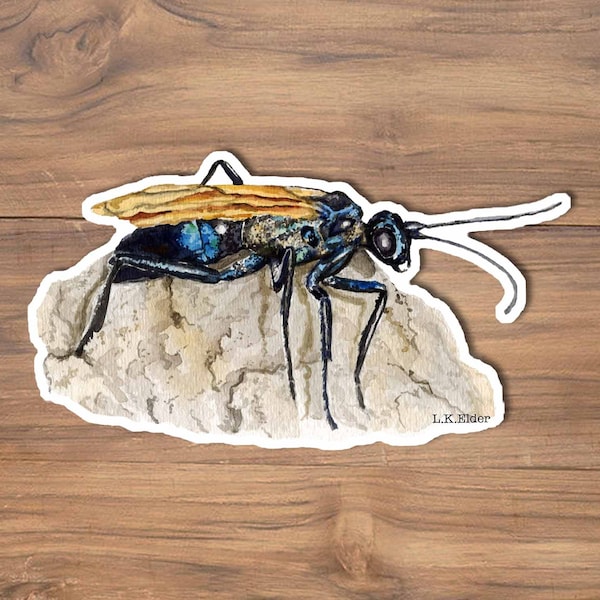 Tarantula Hawk Wasp - Etsy