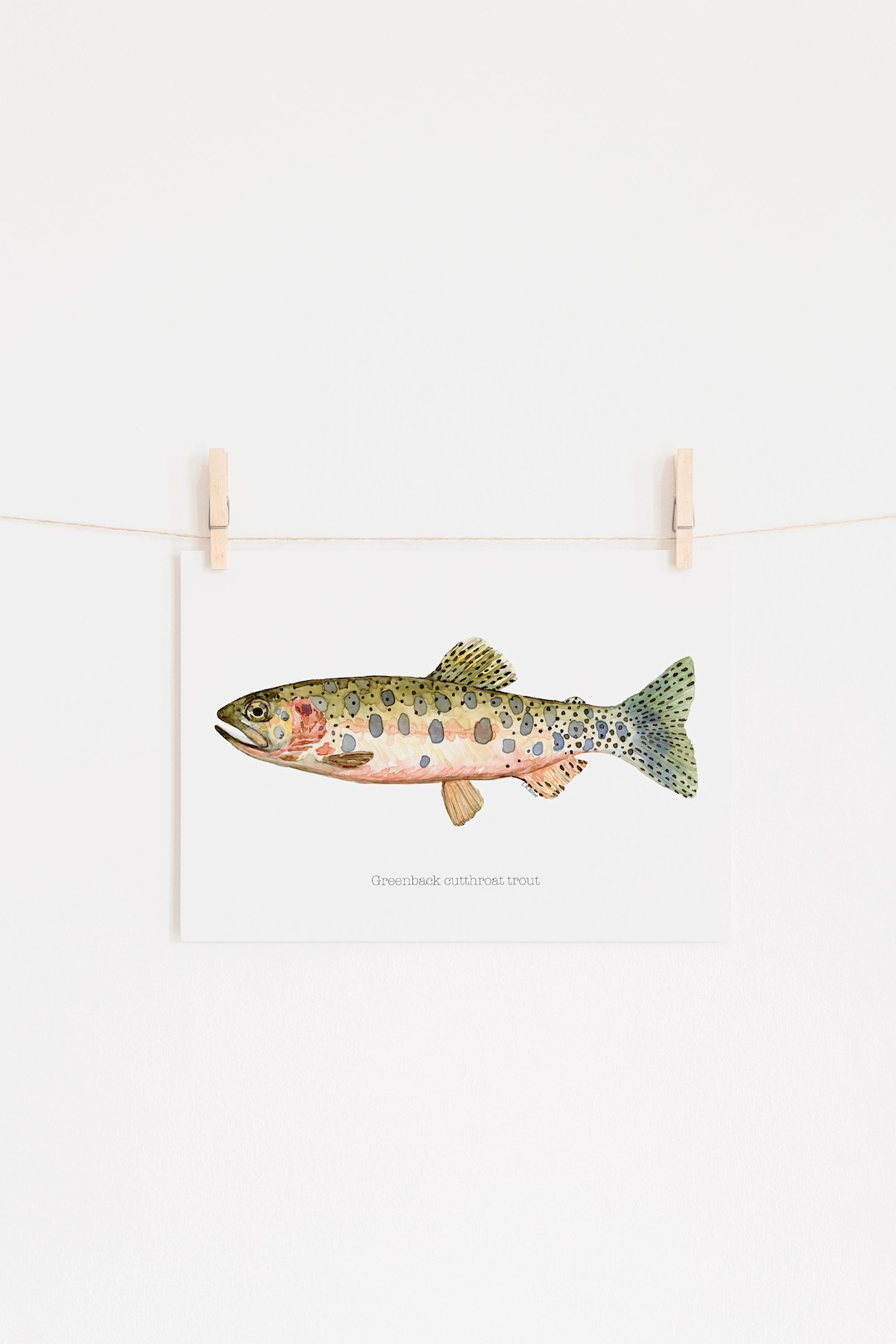 Greenback Cutthroat Trout Print, Trout Painting, Trout Print ...