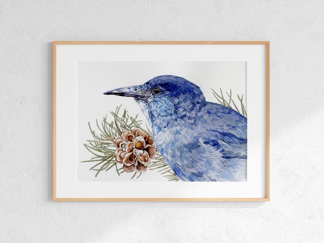 Watercolor Pinon Jay Giclee Print, Watercolor , Pinyon Jay Print, Pinon Jay Illustration, Pinyon ...