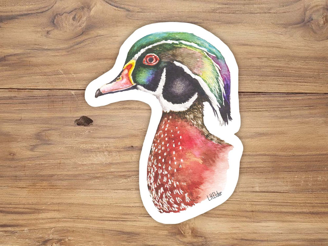Wood Duck Sticker, Wood Duck Illustration, Wood Duck Vinyl, Watercolor ...