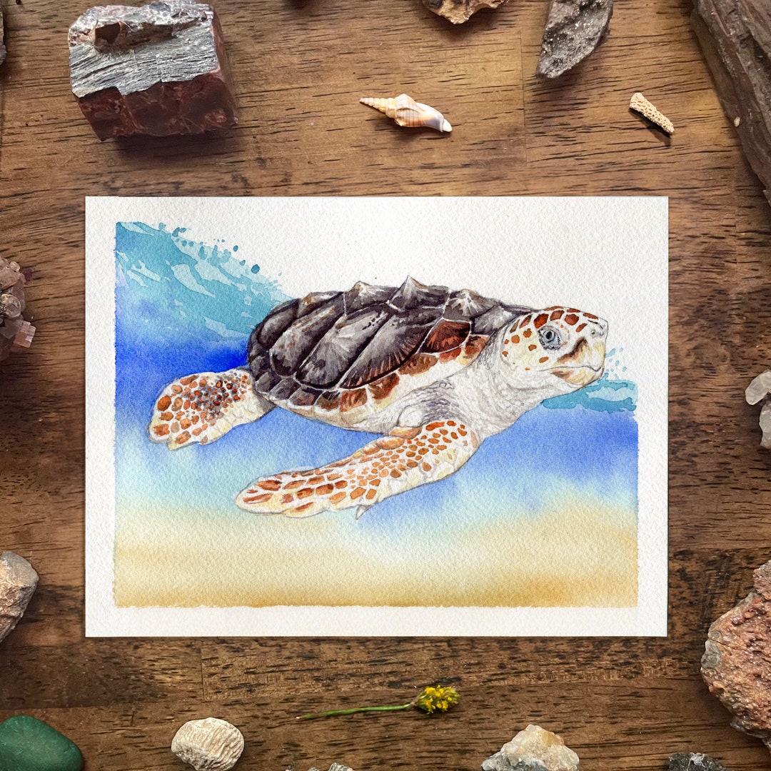 Loggerhead Sea Turtle Painting, Loggerhead Sea Turtle Illustration ...