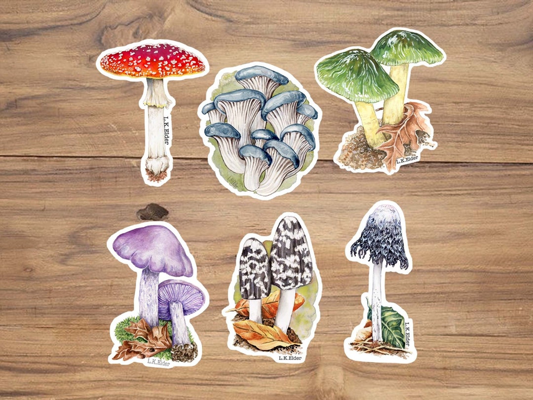 Watercolor Mushroom Sticker Pack: Handmade Vinyl Fungi Illustrations - Etsy