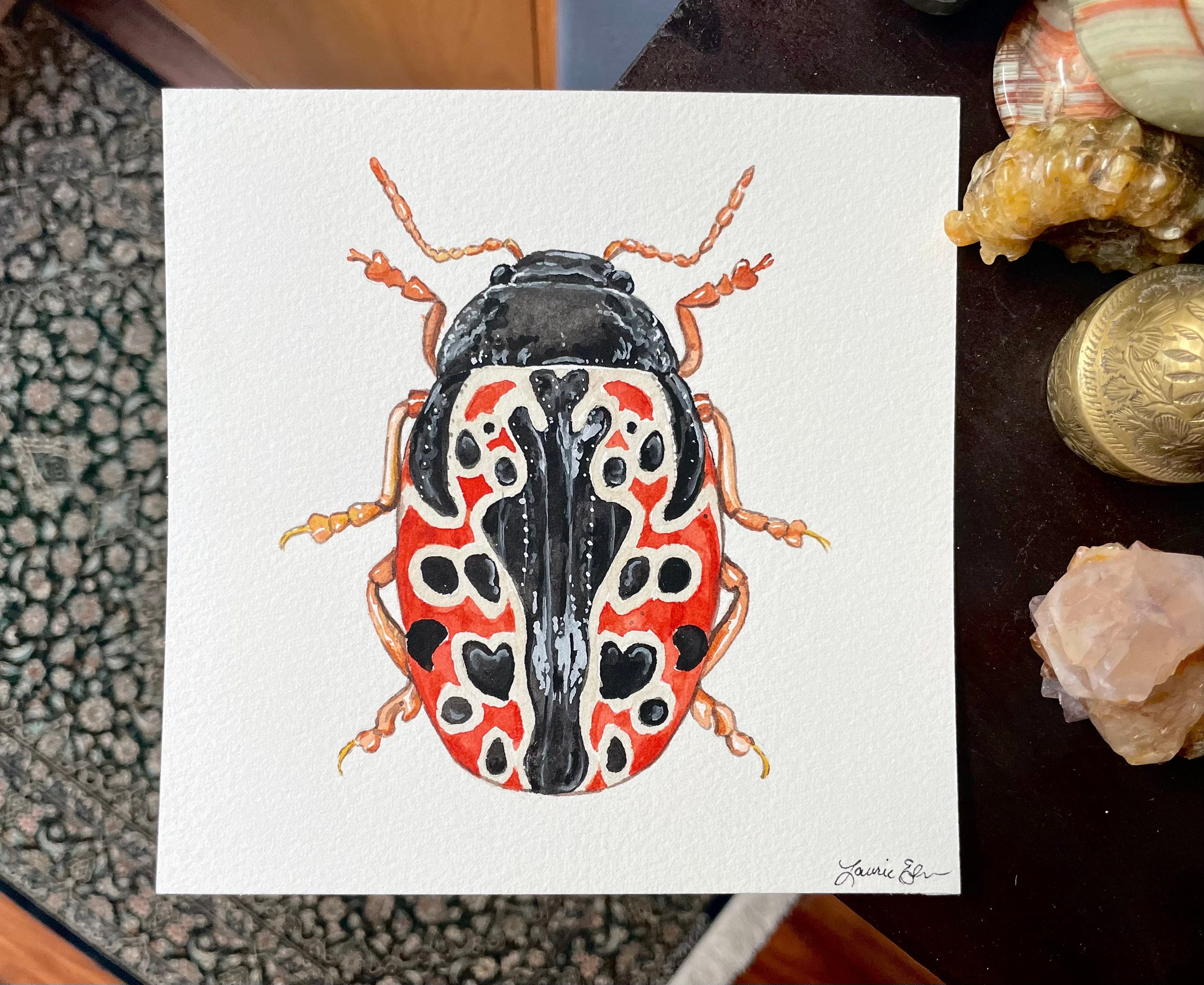 Beetle Illustration