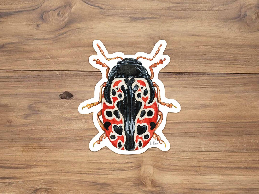 Calligrapha Beetle Vinyl Sticker, Lady Bug Sticker, Entomology Sticker ...