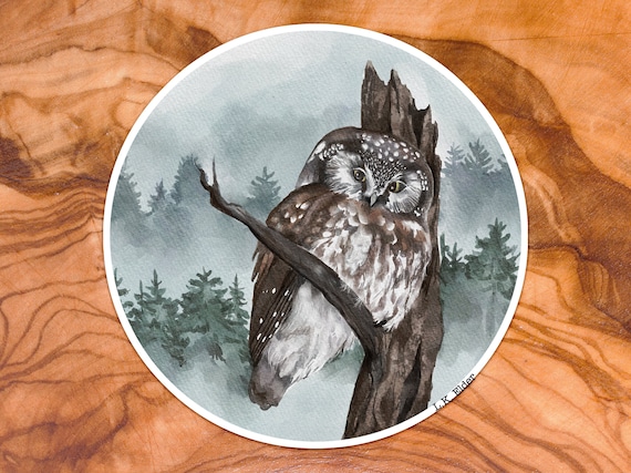 Boreal Owl Sticker Boreal Owl Vinyl Owl Sticker Cute Owl - Etsy