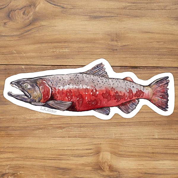 King Salmon Decal - Etsy