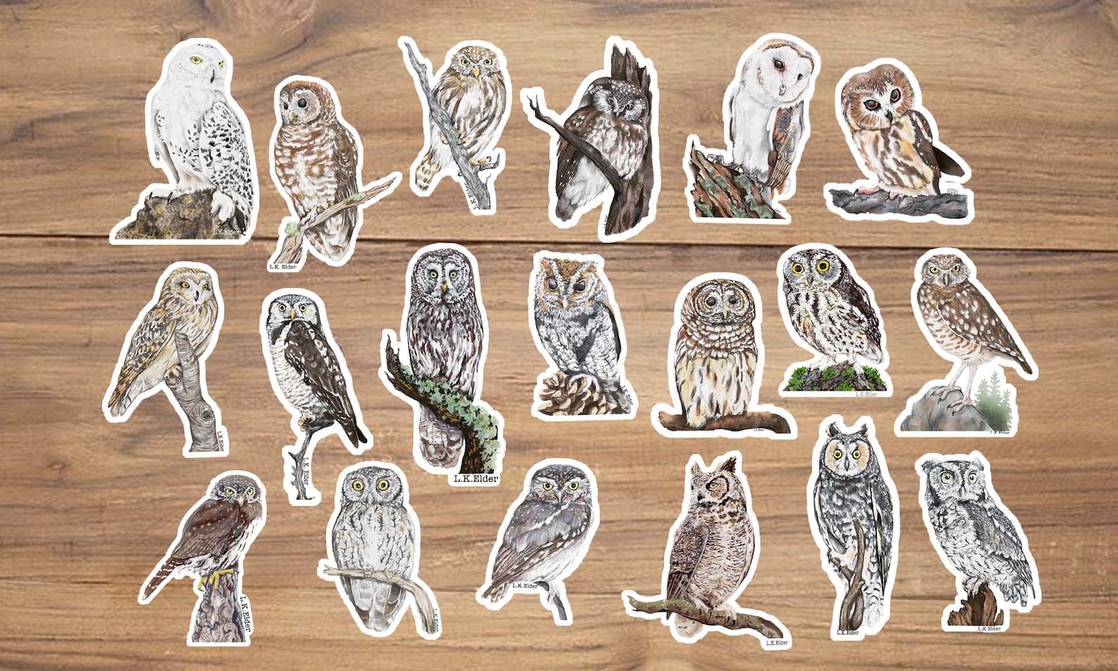 Owl Sticker Pack Barn Owl Sticker Screech Owl Sticker Great - Etsy