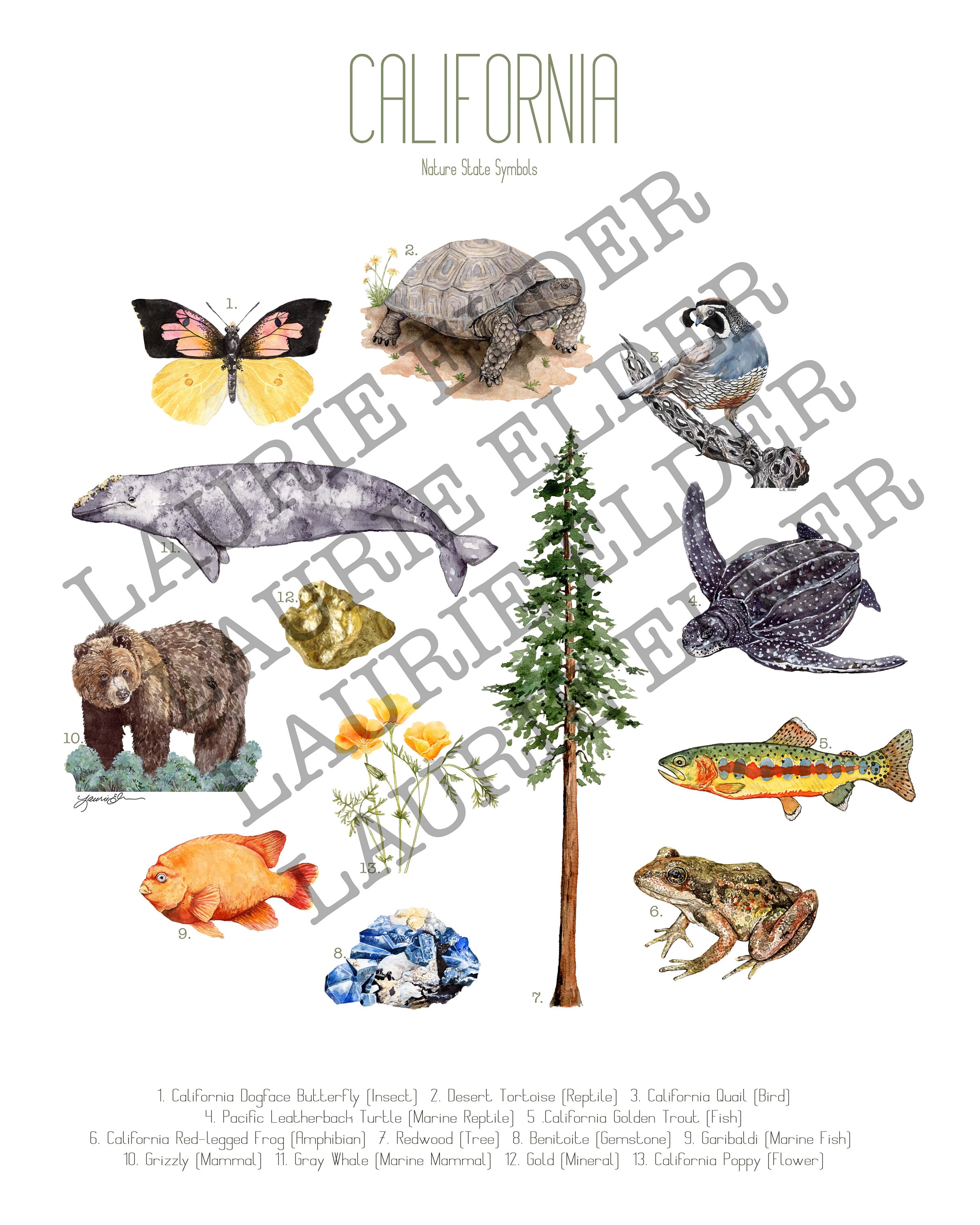 California State Symbols Art Print California State Symbols - Etsy
