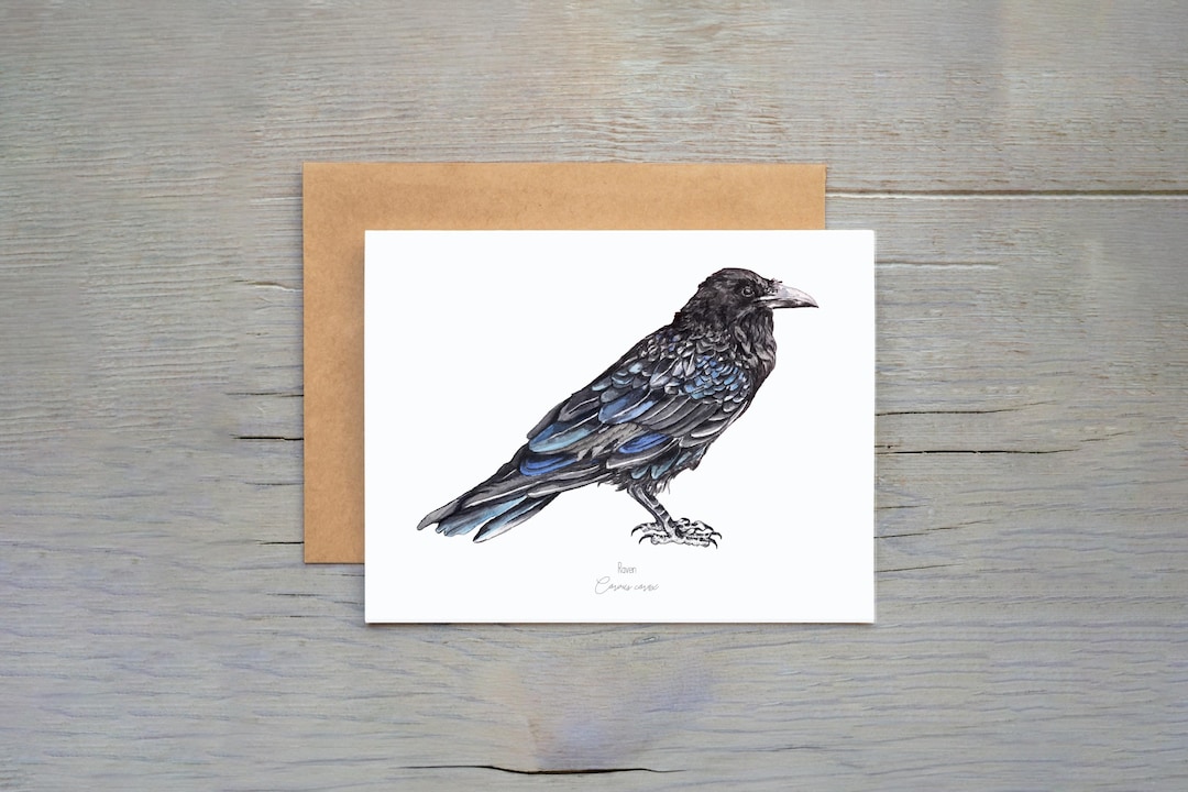 Raven Illustration Notecard: Bird Watching Greeting Card - Etsy