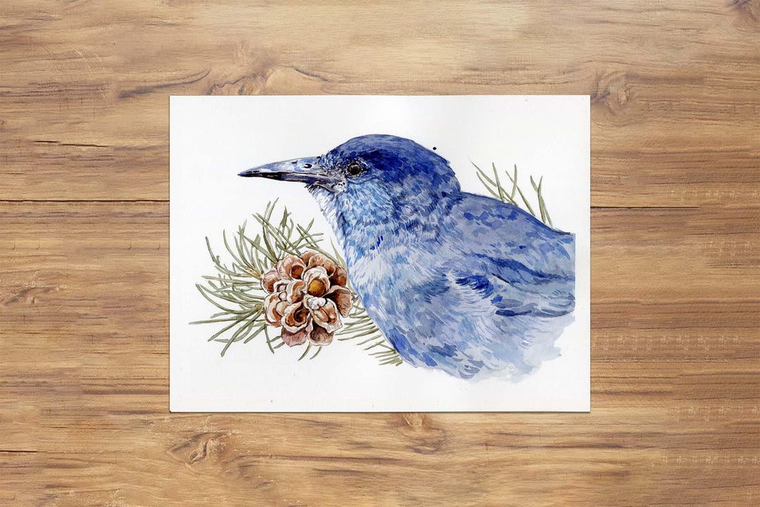 Pinon Jay Painting, Pinyon Jay Painting, Pinon Jay Art, Bluebird Painting, Pinon Jay Watercolor ...