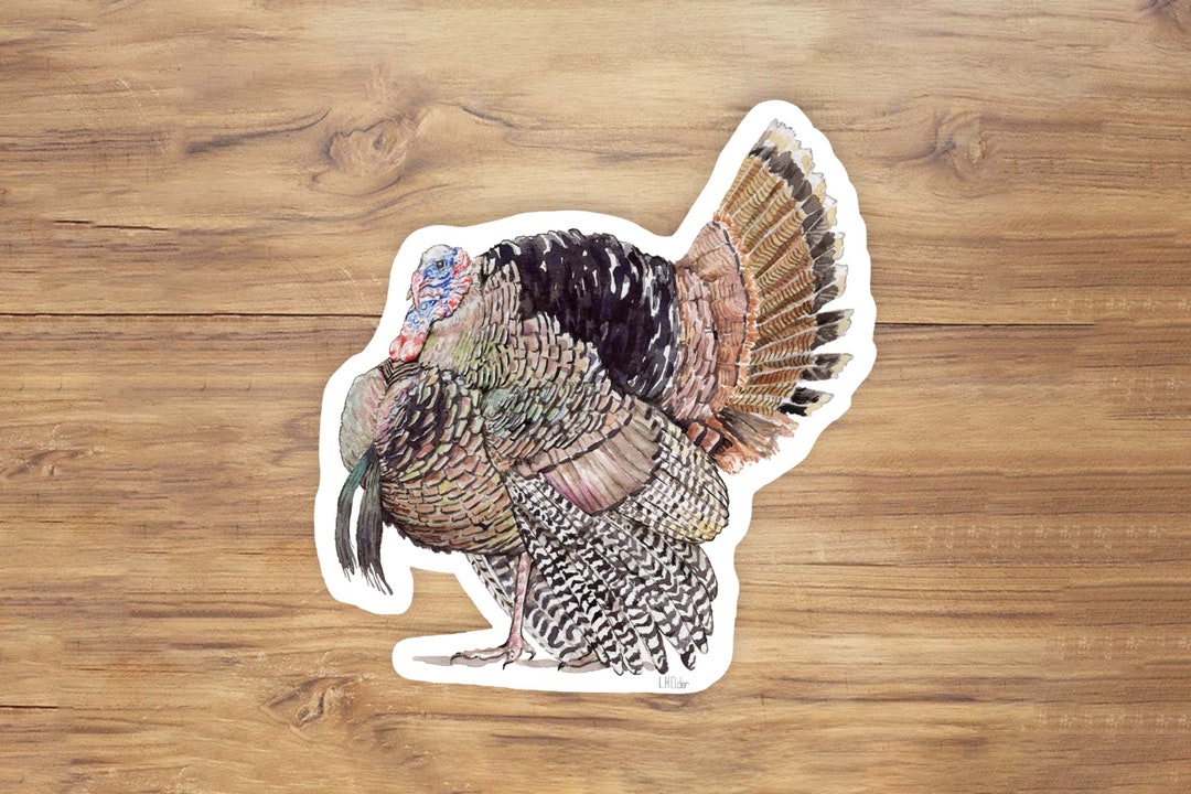 Watercolor Wild Turkey Vinyl Sticker: Autumn Thanksgiving Decor - Etsy