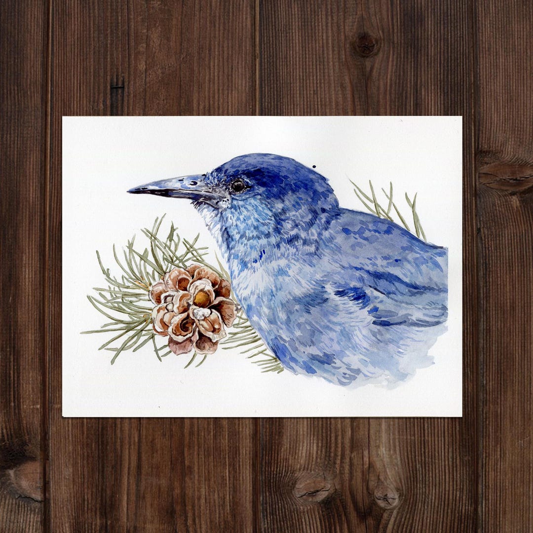 Pinon Jay Painting, Pinon Jay Illustration, Pinon Jay Art, New Mexico Birds, Pinon Jay ...