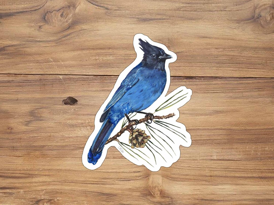 Steller's Jay Vinyl Sticker, Long-crested Jay Sticker, Mountain Jay ...
