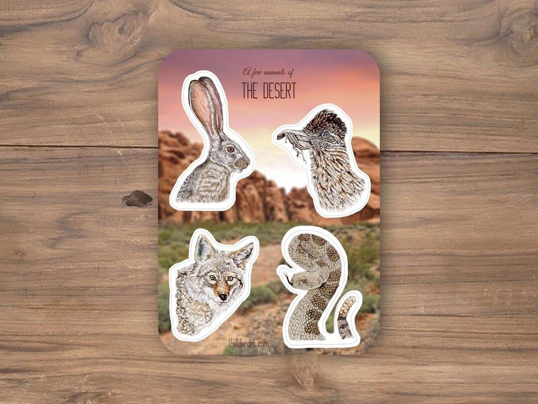 Desert Animals Sticker Sheet, Roadrunner Sticker, Jackrabbit Sticker ...