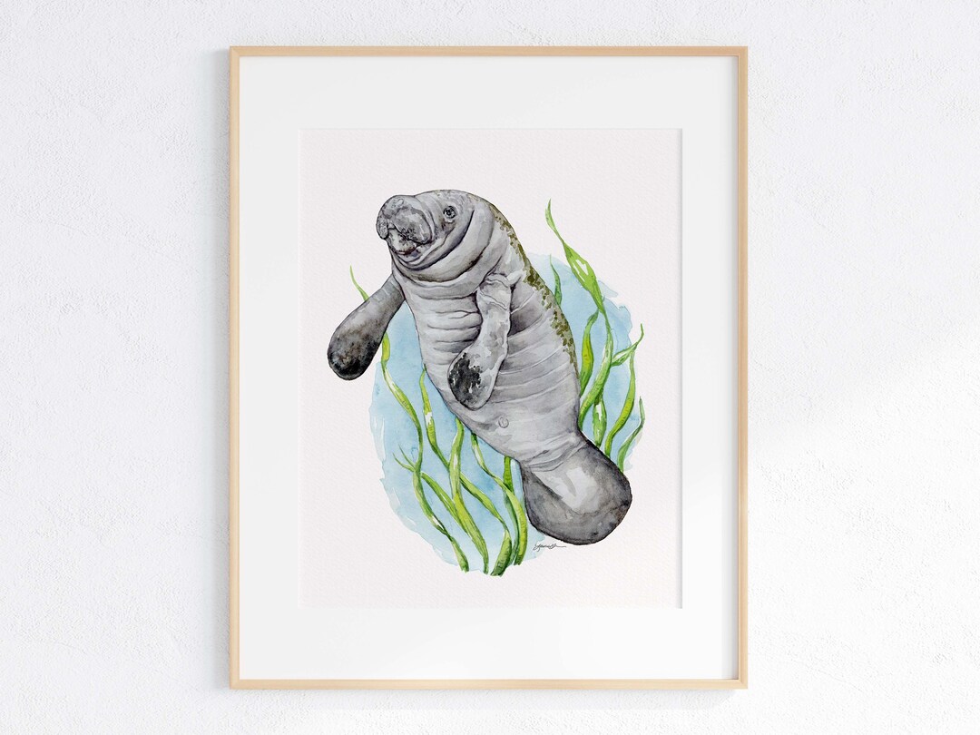 Manatee Art Print, Manatee Print, Manatee Giclee Print, Manatee ...