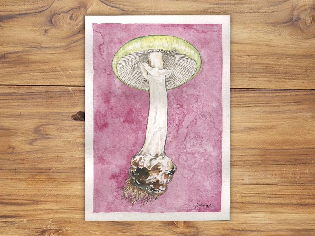 Watercolor Deathcap Illustration, Fungi Painting, Mushroom Drawing ...