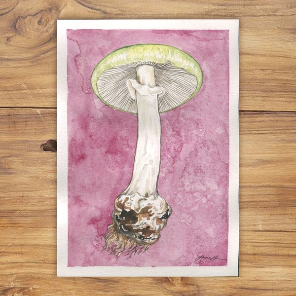 Death by Fungi - Etsy