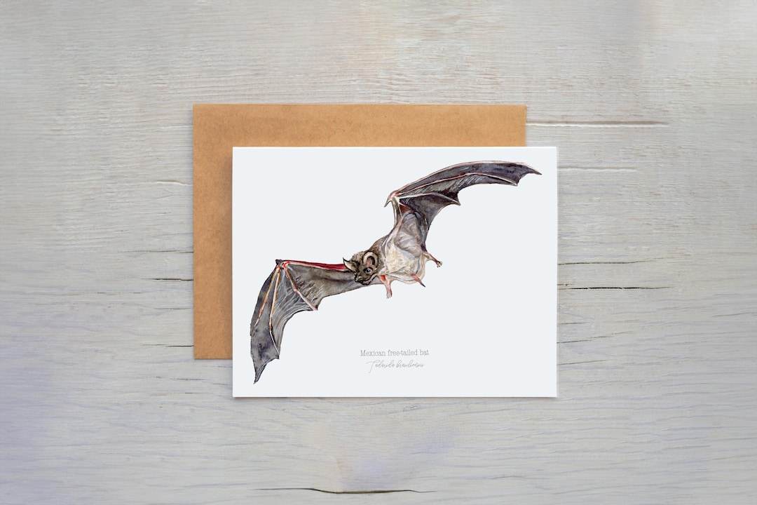 Mexican Free Tailed Bat Notecard, Blank Wildlife Notecard, Bat Greeting ...