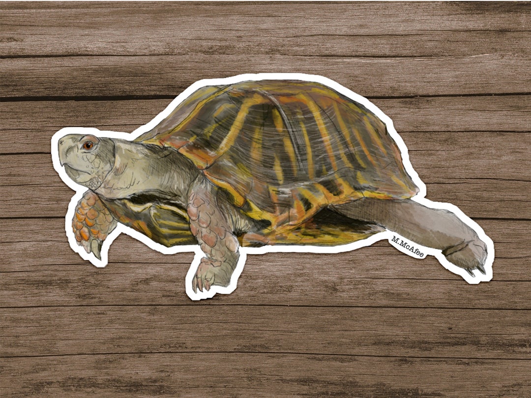 Desert Box Turtle Sticker, Box Turtle Sticker, Turtle Sticker, Wildlife ...