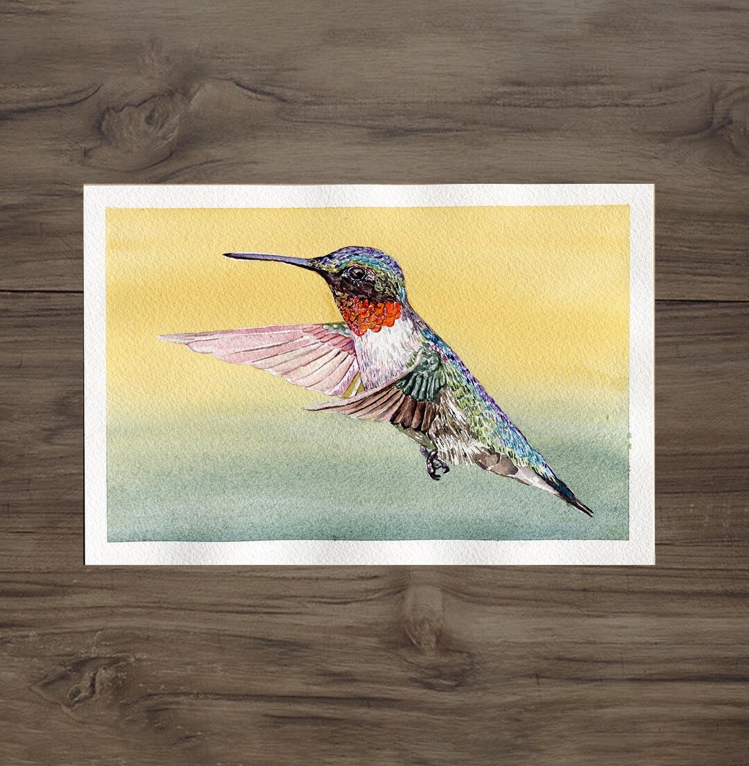 Original Watercolor Ruby-throated Hummingbird Painting - Etsy