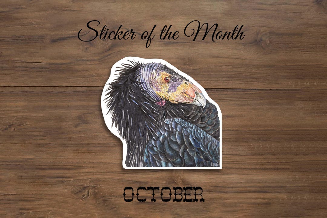 Sticker of the Month Club, Wildlife Sticker Subscription, Condor ...
