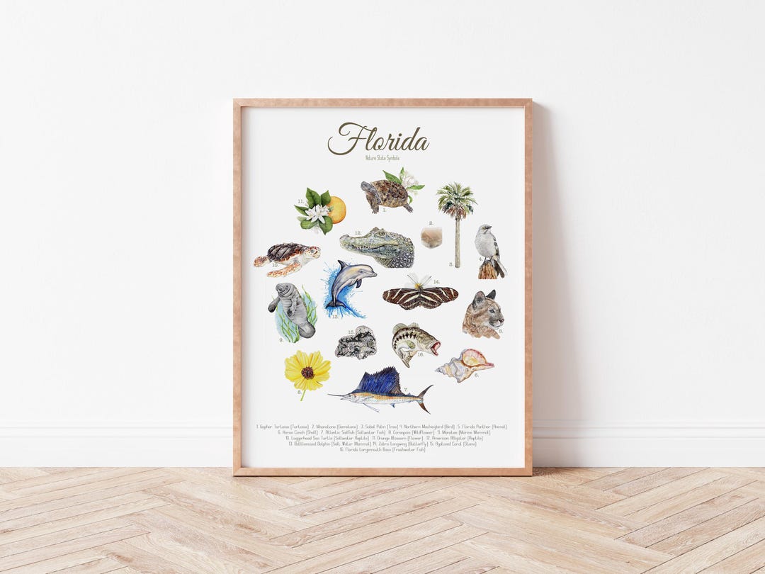 Florida State Symbols Art Print: Flora & Fauna Typology - Etsy