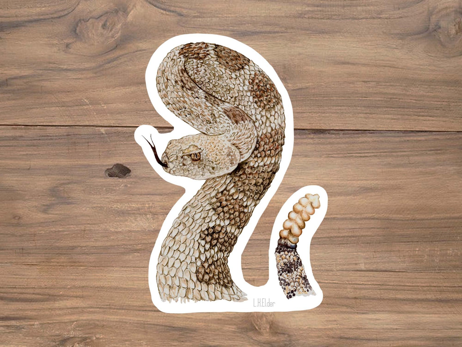 Watercolor Rattlesnake Sticker: Laminated Vinyl Desert Wildlife Art - Etsy