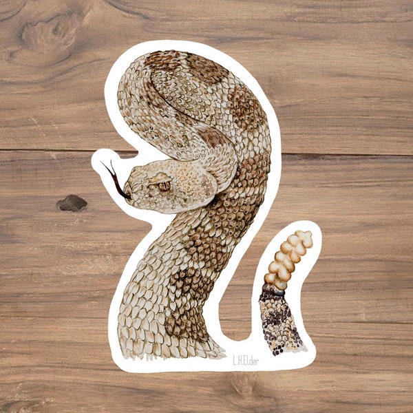 Rattlesnake Skin - Etsy