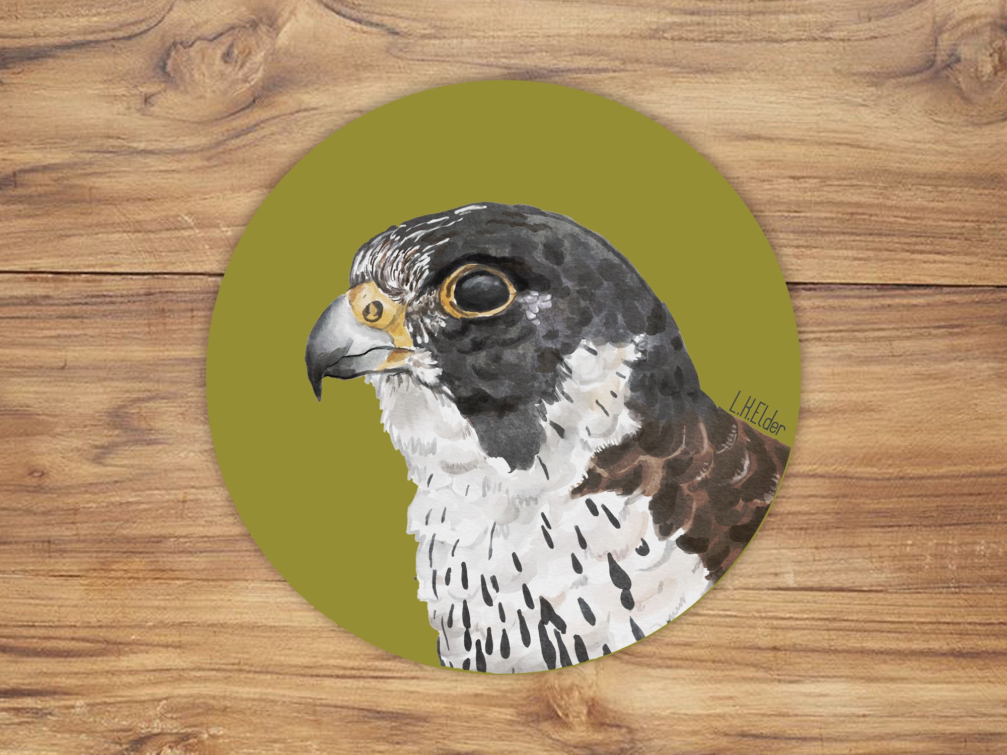 Peregrine Falcon Sticker Peregrine Hawk Vinyl Birds - Etsy