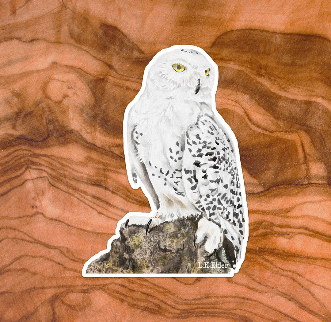 Snowy Owl Sticker, Realistic Owl Sticker, Owl Vinyl Sticker, Snowy Owl ...