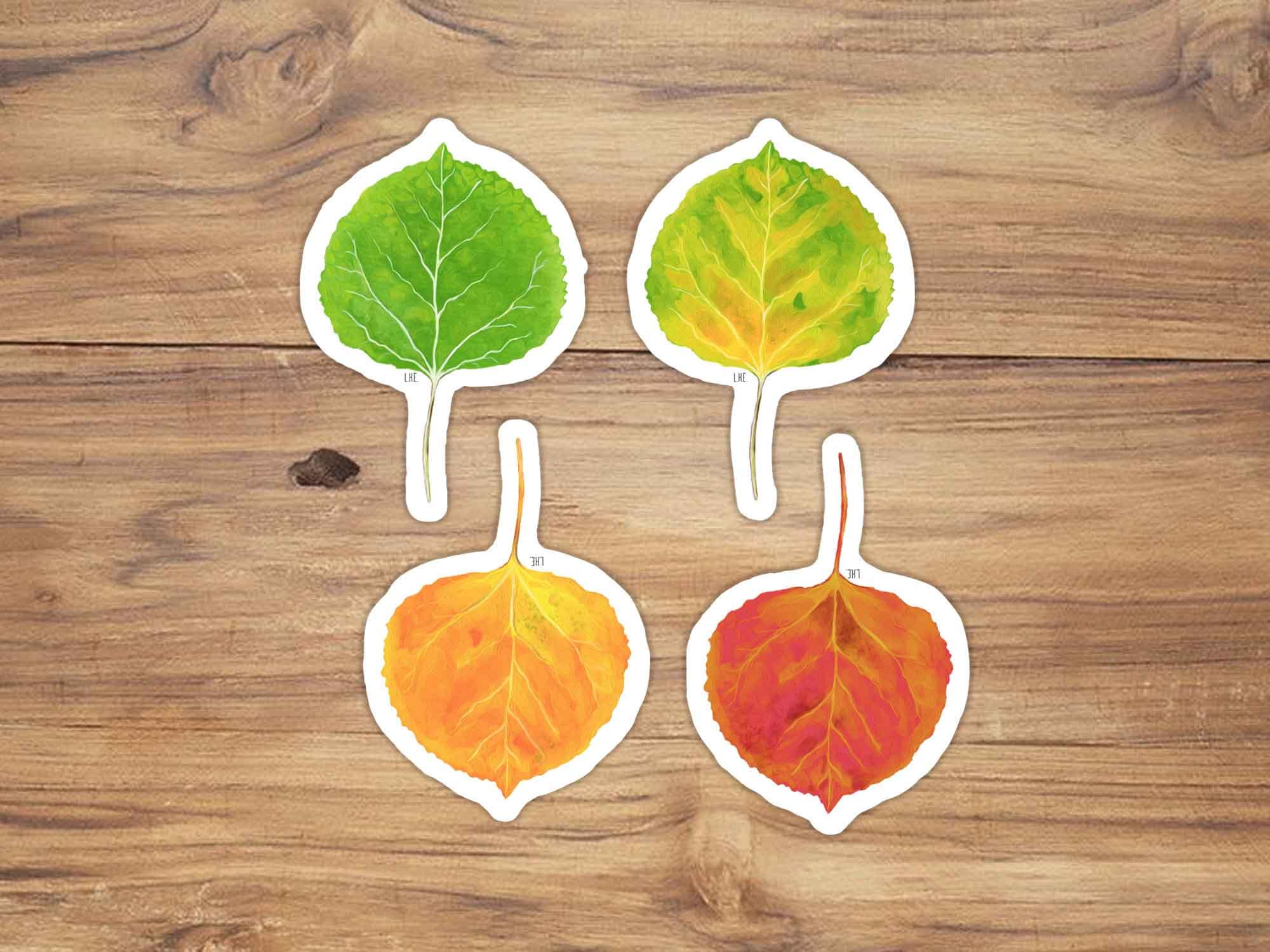Aspen Leaf Sticker Fall Aspen Sticker Aspen Tree Sticker - Etsy