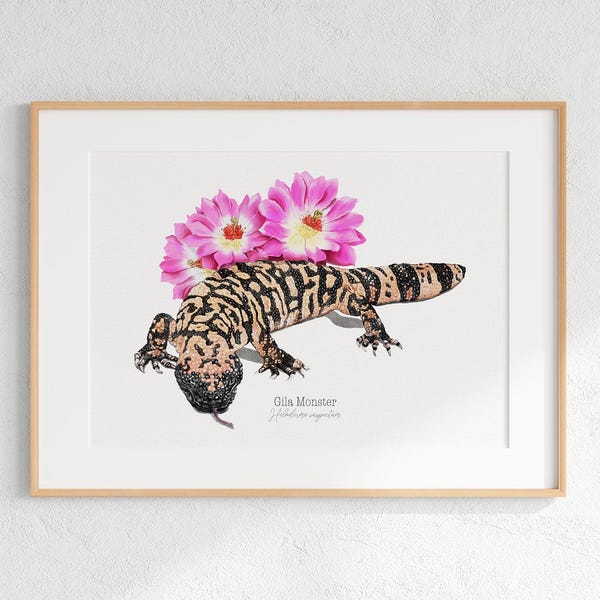 Gila Monster - Etsy