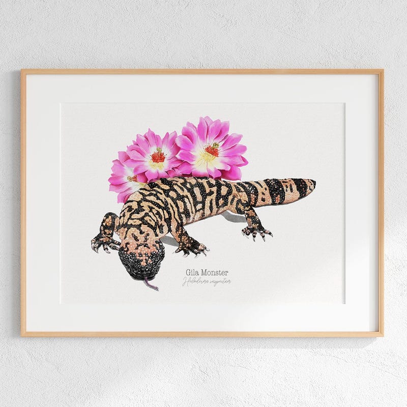Gila Monster - Etsy