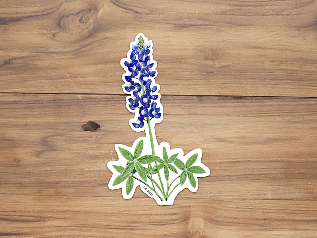 Texas Bluebonnet Vinyl Sticker: Wildflower Art - Etsy