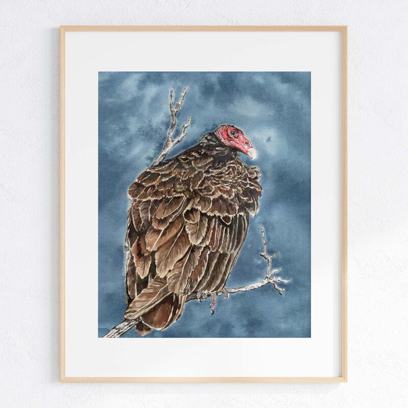Turkey Vulture Print - Etsy