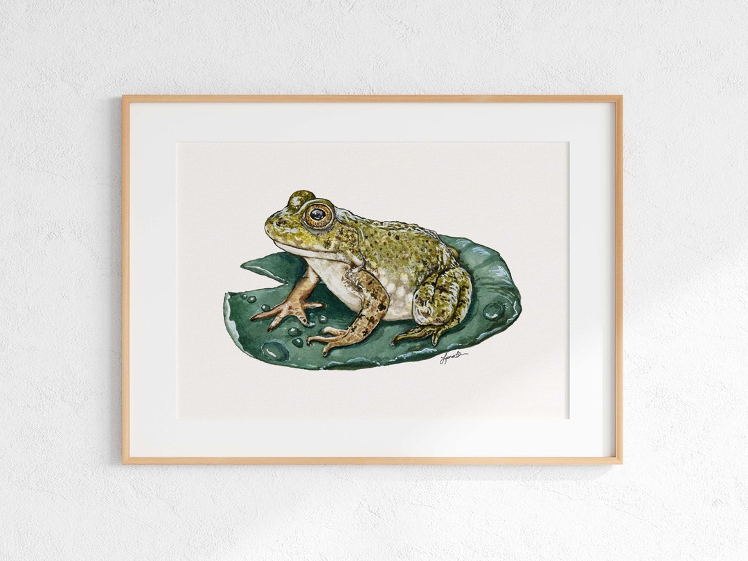 Bullfrog Giclee Print, Bull Frog Illustration Drawing Bullfrog Drawing ...