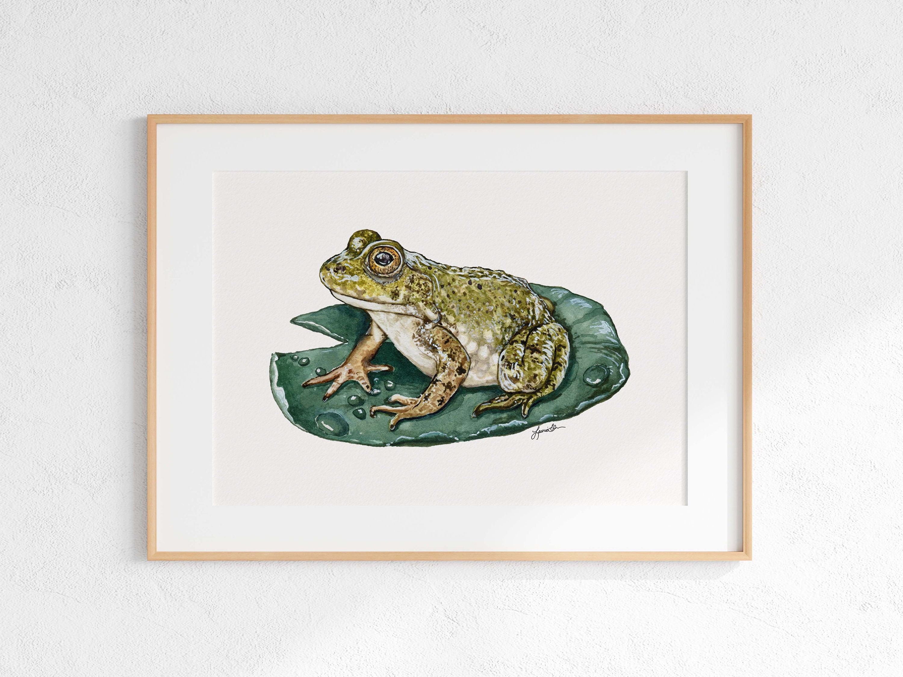 Bullfrog Illustration