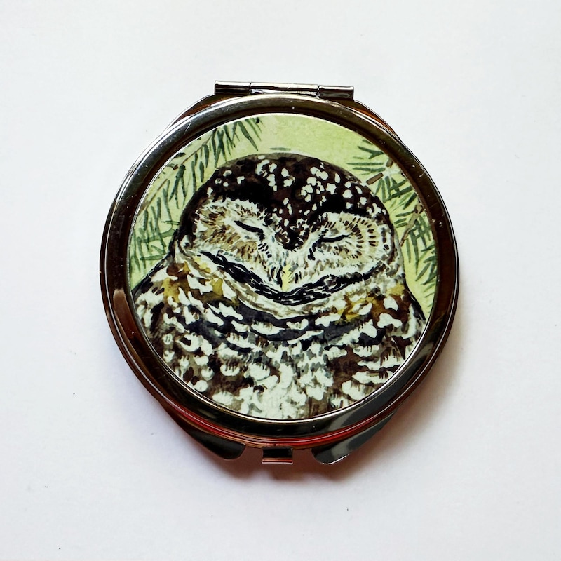 Owl Mirror - Etsy