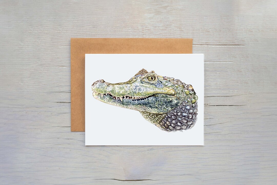 Alligator Notecard, Blank Wildlife Notecards, Alligator Greeting Card ...