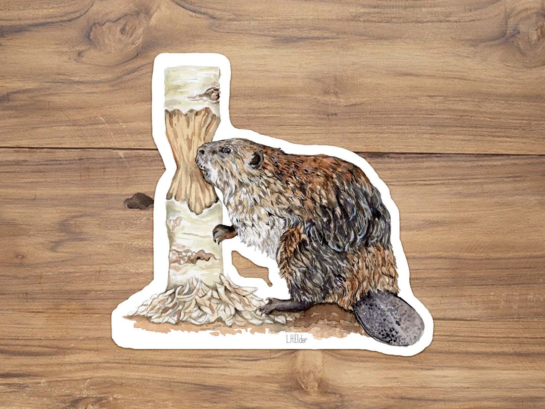 American Beaver Vinyl Sticker, Watercolor Beaver Sticker, Vintage ...