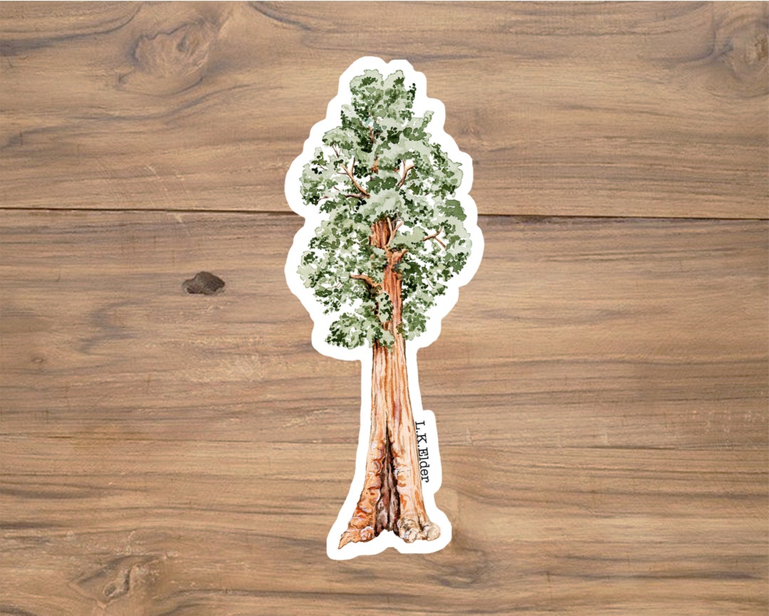 Giant Sequoia Tree Sticker, Coastal Redwood Sticker, Redwood Tree ...