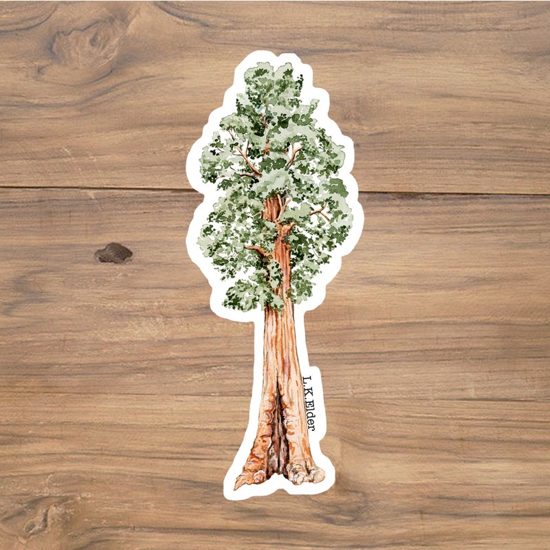 Tree Sticker - Etsy