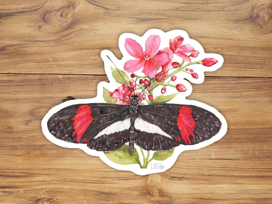 Postman Butterfly Vinyl Sticker: Watercolor Illustration - Etsy